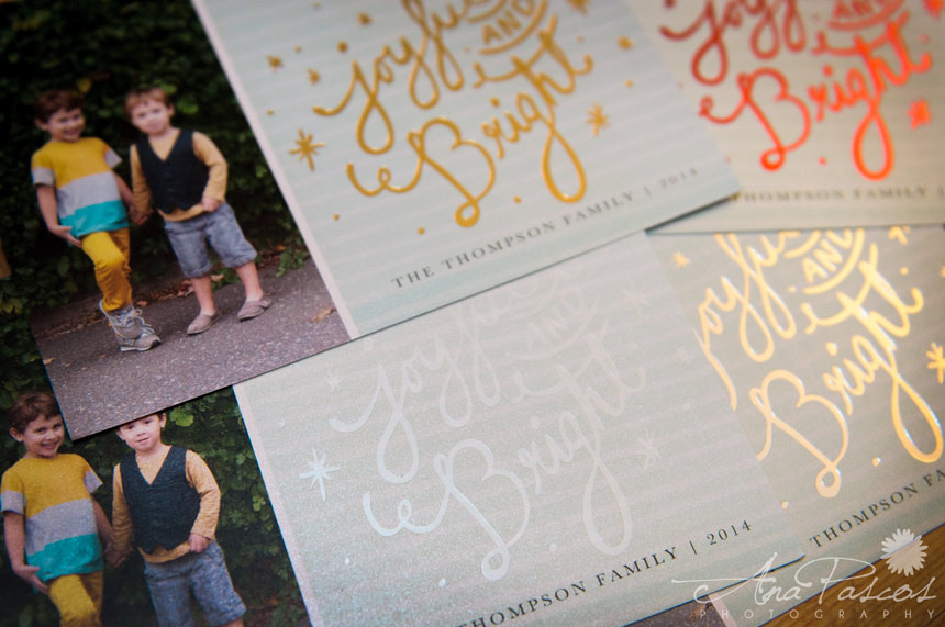Toronto Foil-Stamped Custom Photo Christmas Cards