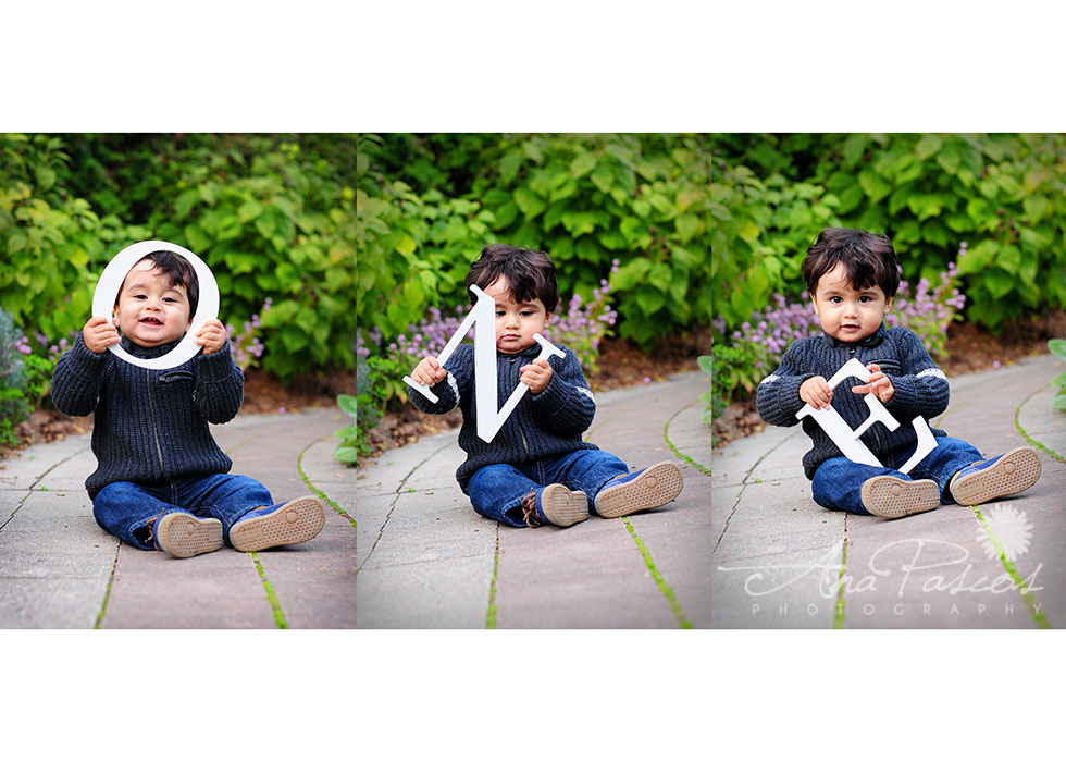Fun-photo-idea-for-baby's-1st-birthday-shoot-Toronto-Photographer - Ana ...